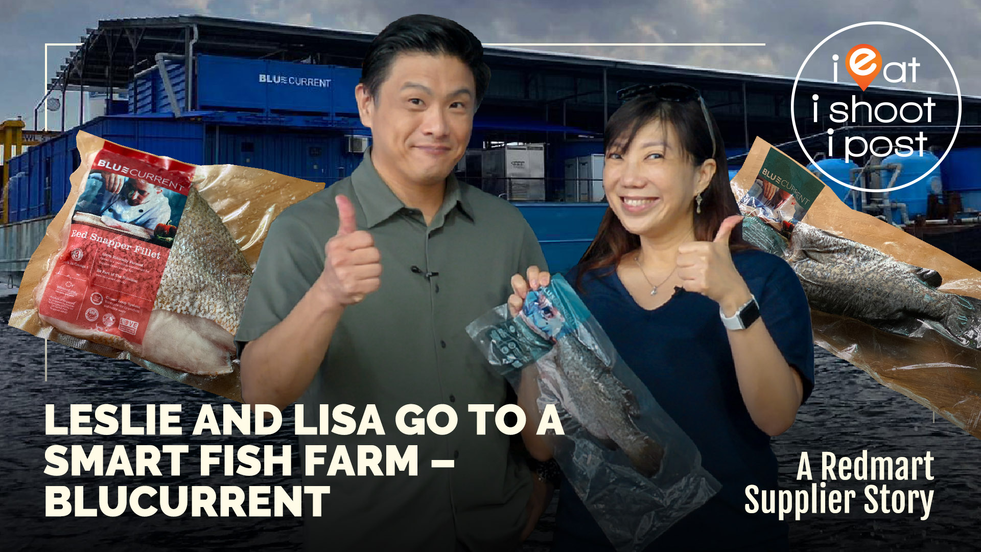 BluCurrent Smart Fish Farm - A RedMart Supplier Story - ieatishootipost